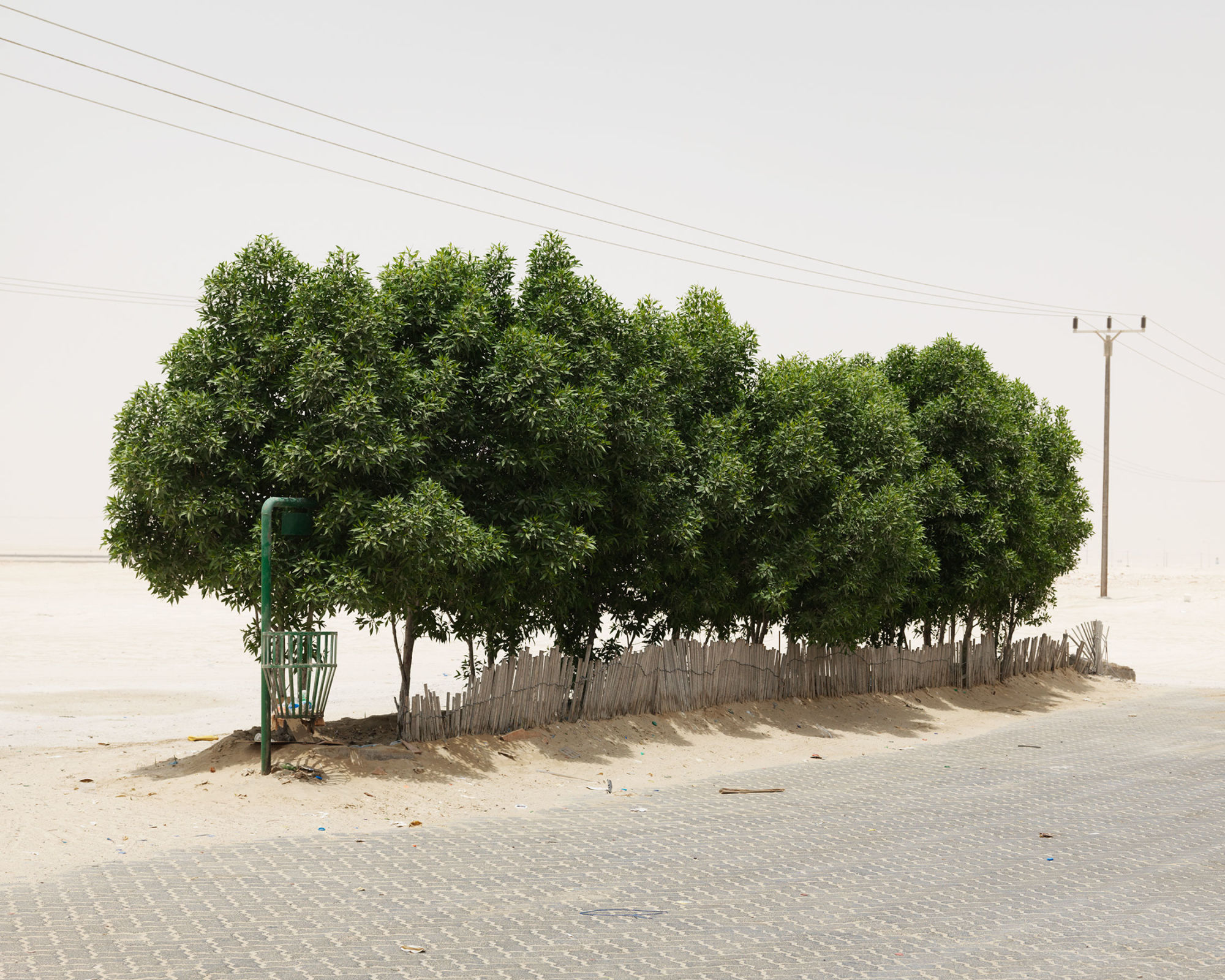 Ryan Debolski – Another Land – Subjectively Objective