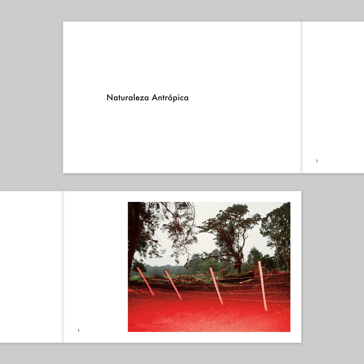 Issue 23 – Henry Tyson – Subjectively Objective