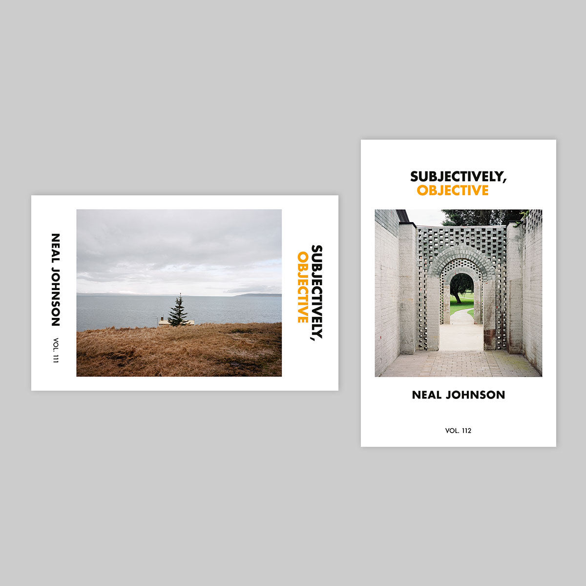Mini Monograph Series Subscription – Subjectively Objective