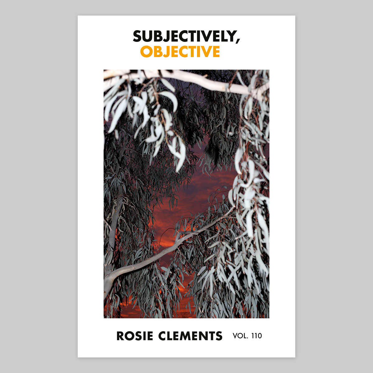 Volume 110 – Rosie Clements – Subjectively Objective